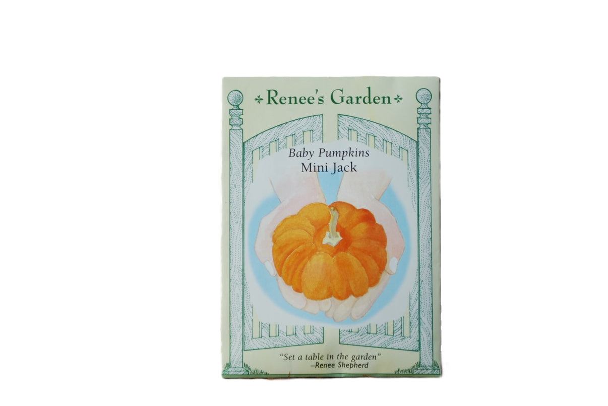 Calabaza Mini – MELO Agropecuario