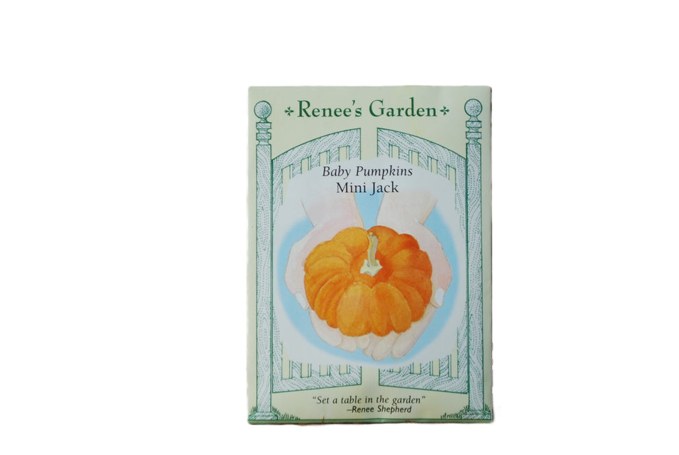 Calabaza Mini – MELO Agropecuario