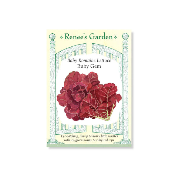 Lettuce Ruby Gem Romaine – MELO Agropecuario