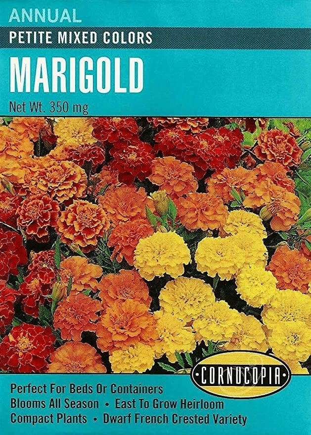 Marigold Petite Mixed Colors – MELO Agropecuario