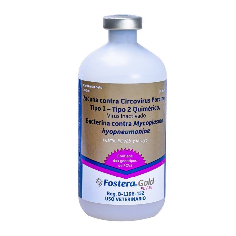 Vacuna Fostera Gold PCV MH 50 dosis – MELO Agropecuario